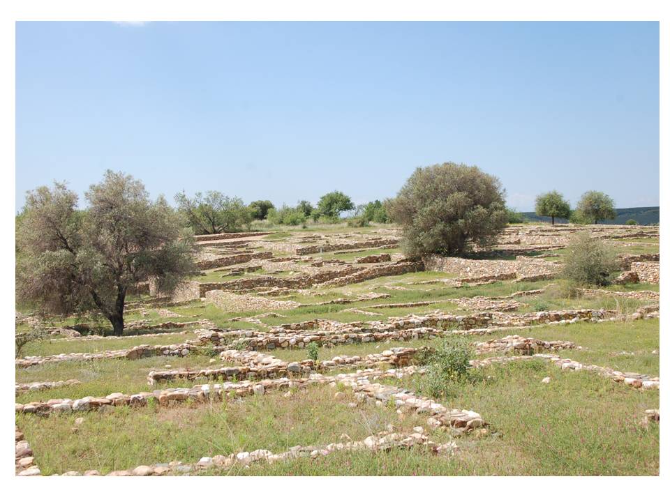 Olinto – Naturaleza en Poemas